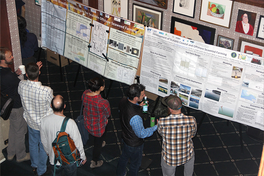 Symposium | National Seaweed Hub
